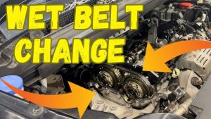 Citroen Wet Timing Belt Replacement